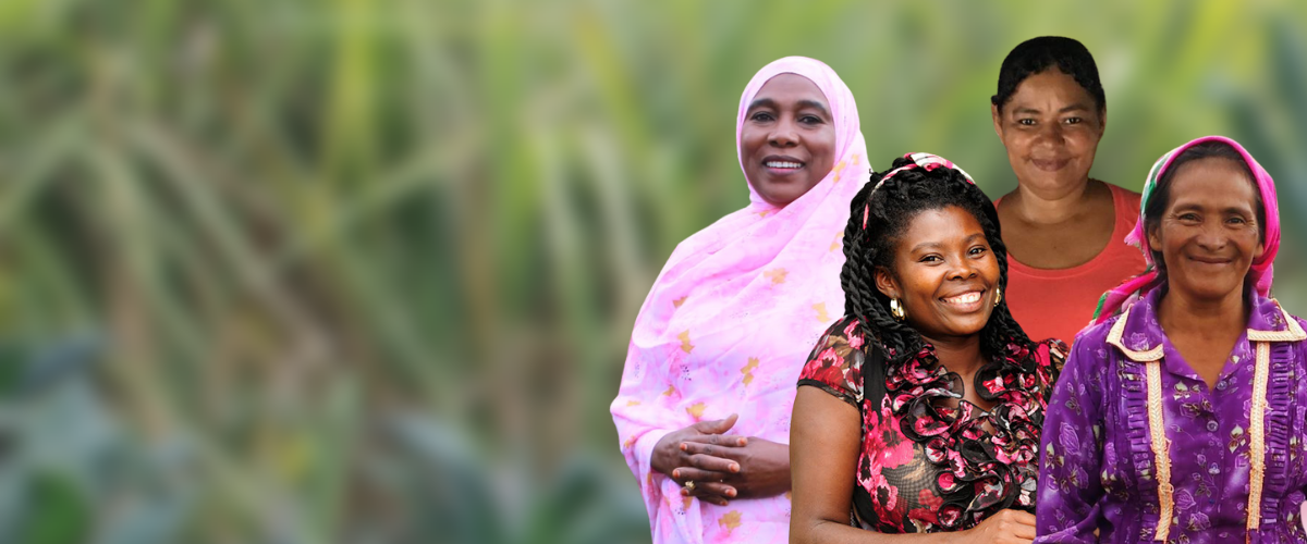 Website Headers | Women's Empowerment International